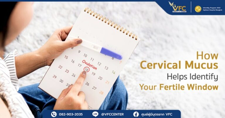 How Cervical Mucus Helps Identify Your Fertile Window