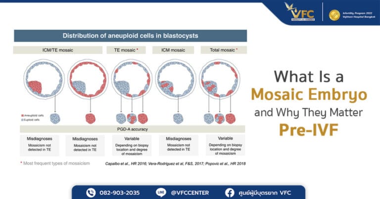What Is a Mosaic Embryo and Why They Matter Pre-IVF?