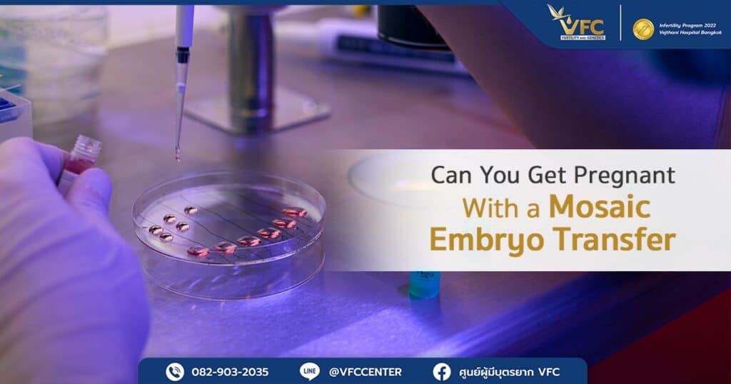 Can You Get Pregnant With a Mosaic Embryo Transfer?